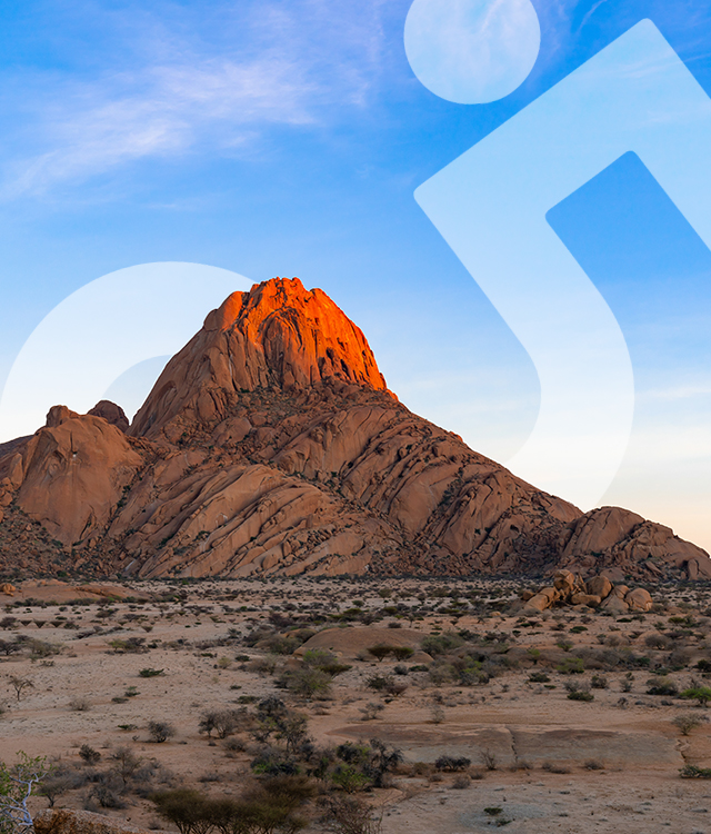 PayToday Business Portal